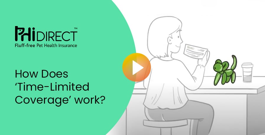 New-Condition Coverage Uncovered