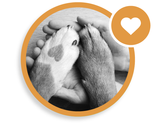 Pepto Bismol for Dogs: What to Know