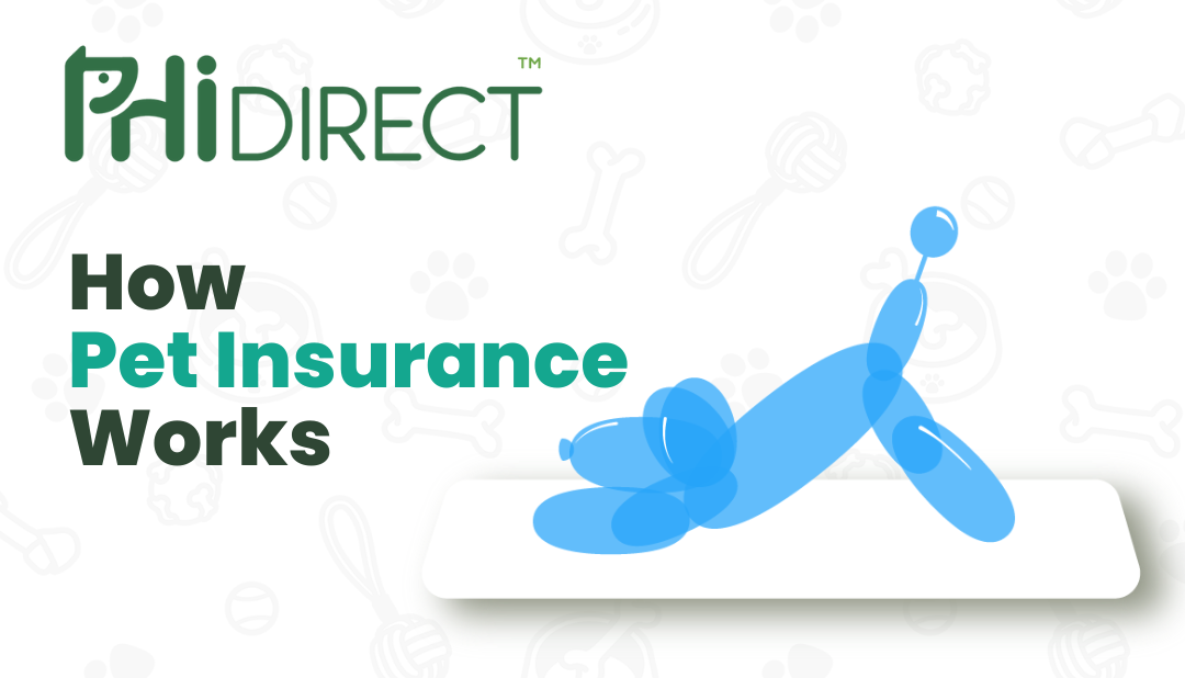 How Pet Insurance Works | PHI Direct